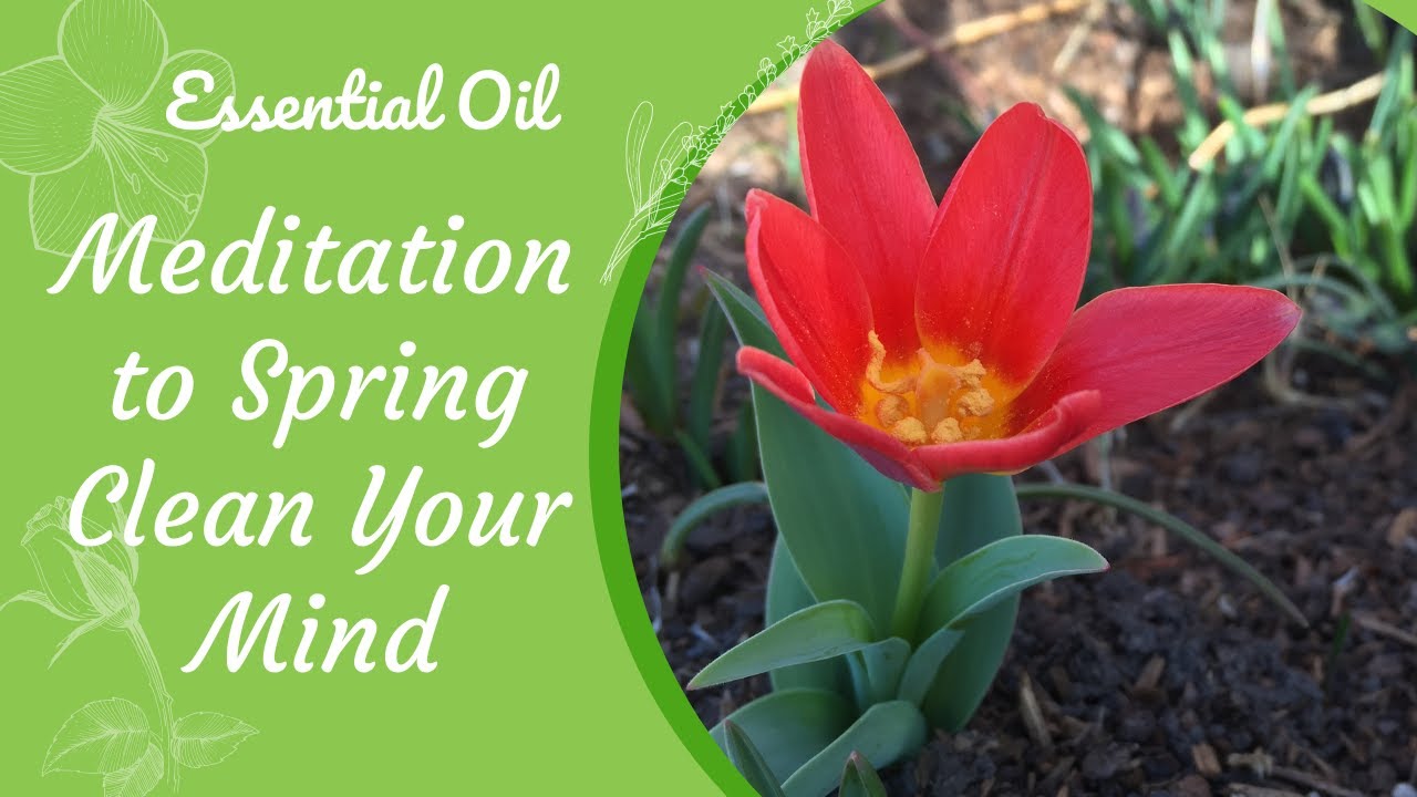 Essential Oil Meditation to Spring Clean Your Mind - YouTube