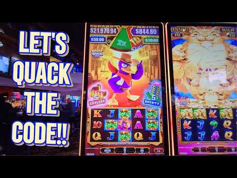 What the Duck Compilation II 🤠 🦆
