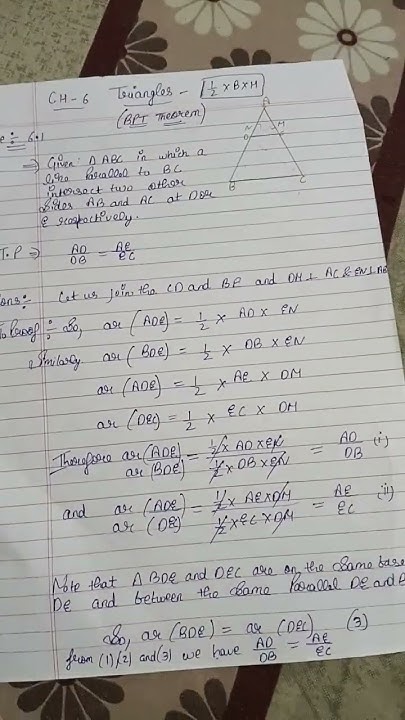 Bpt theorem class 10 ch triangles #cbseboard #maths - YouTube
