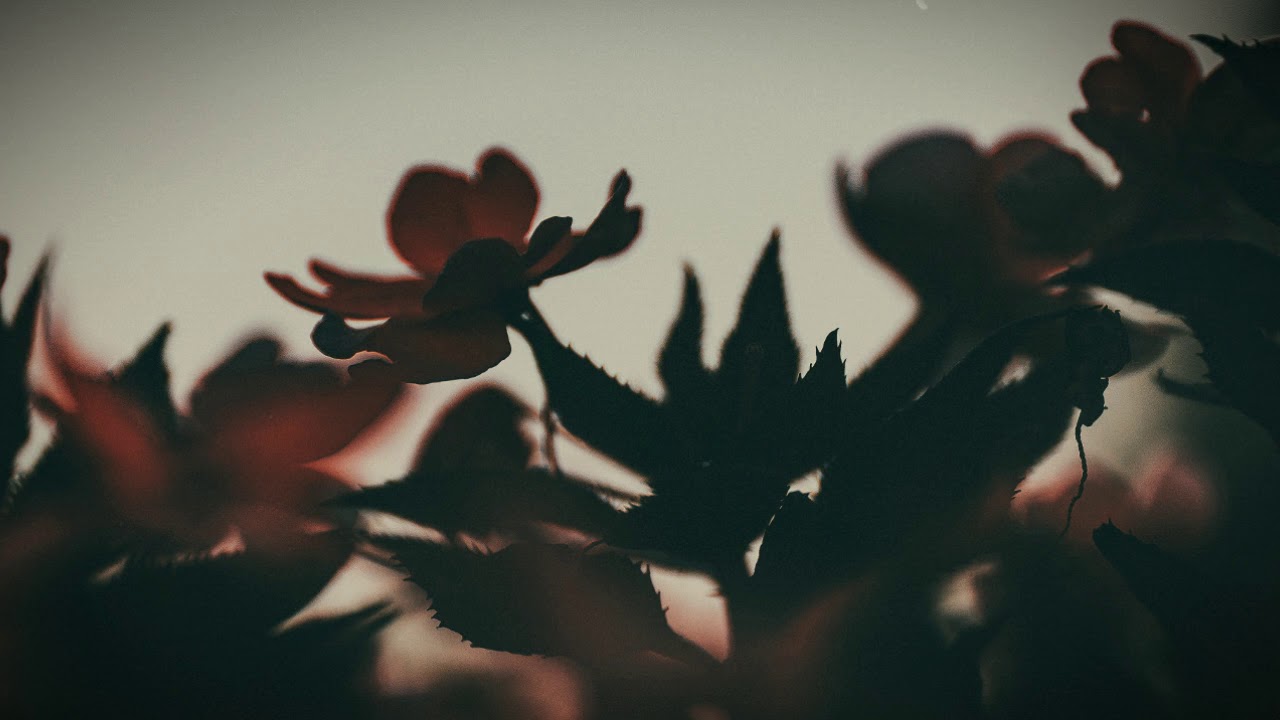 Smooth Hip Hop R&B Instrumental - Suave (prod. Dar'rell Banks) - YouTube