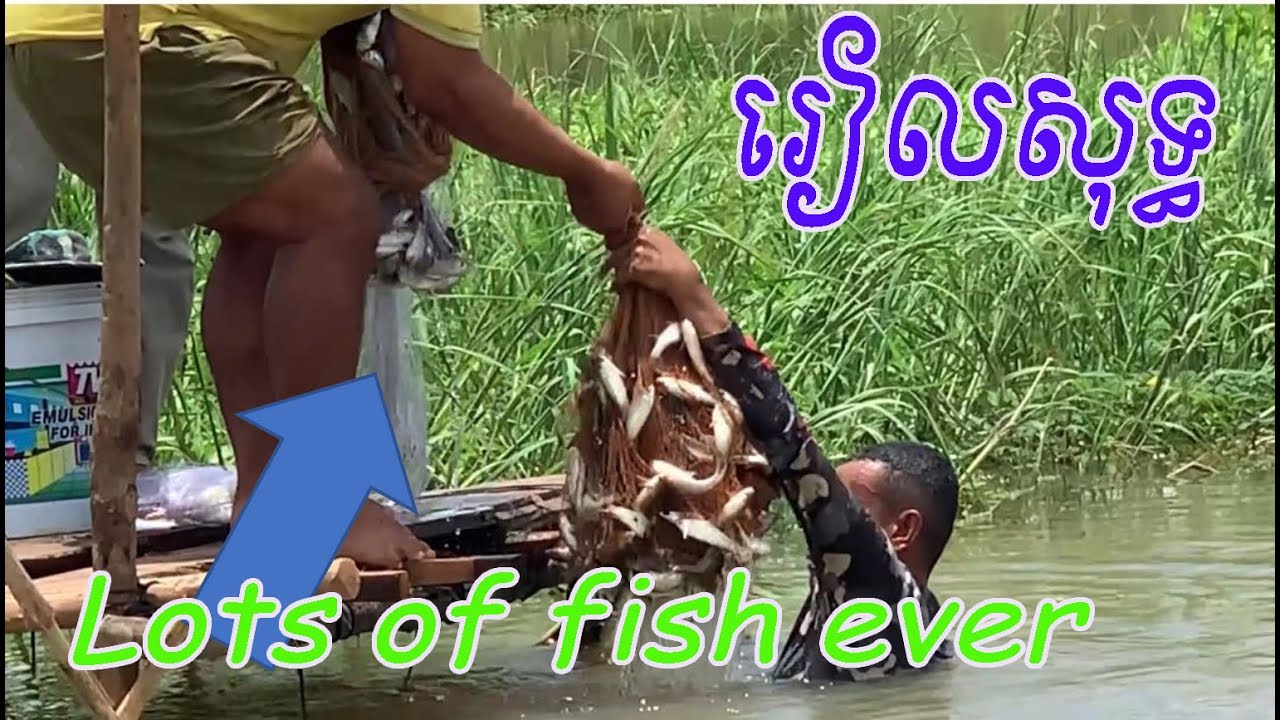 Amazing Most Satisfying cast net fishing / Fishermen caught lots of ...