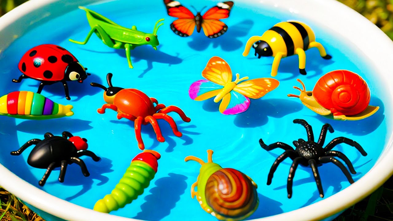 kids Learn | Insect & Bug Names for Kids 🐞🕷️ | Preschool Kids Learn ...