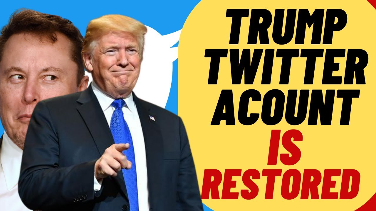 ELON Reinstates TRUMP Twitter Account, Leftists Lose It - YouTube