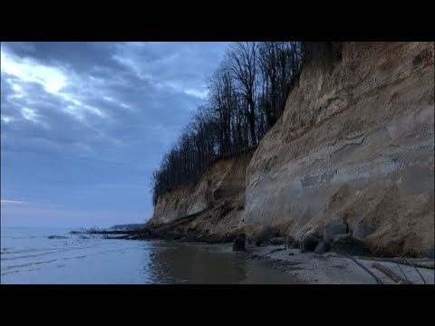 Finding Fossils on a Beautiful Day | Calvert Cliffs Fossil Hunt - YouTube