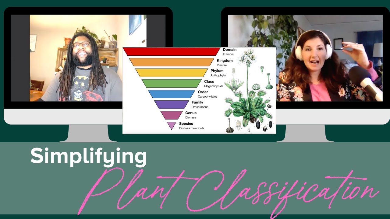 Kingdom Phylum Class Order Family Genus Species Plants