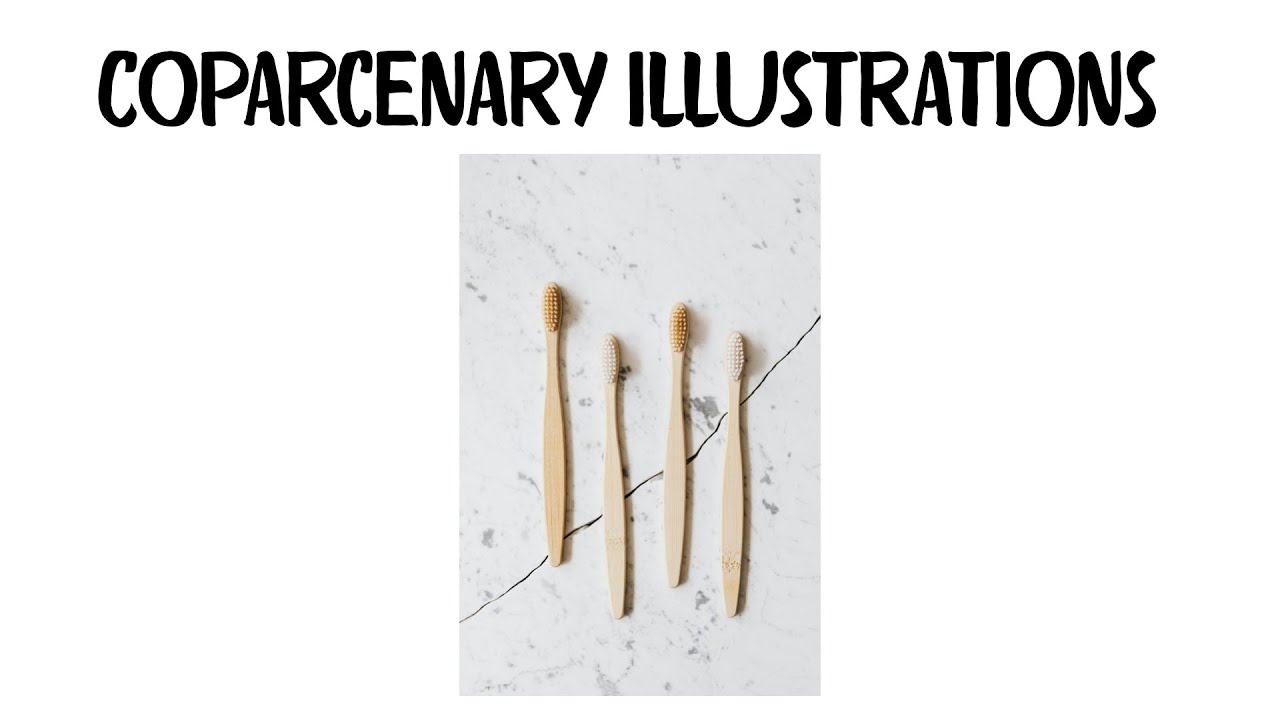 Illustrations on COPARCENARY. - YouTube