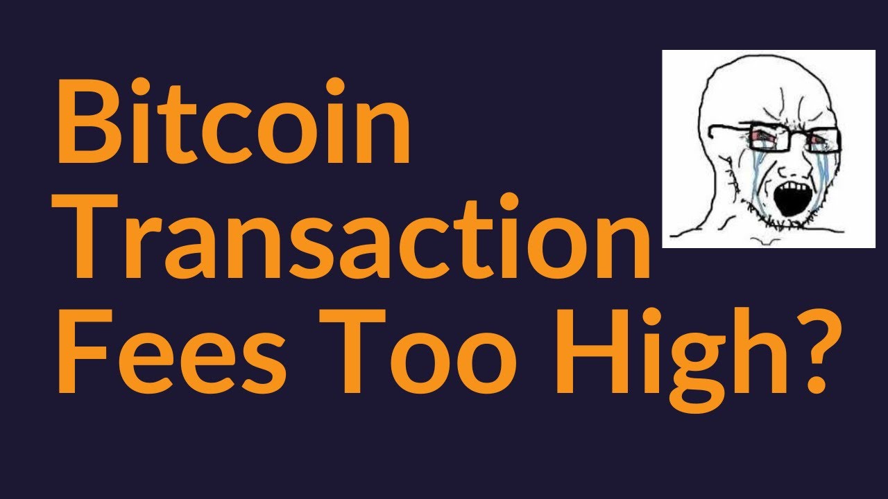 Are Bitcoin Transaction Fees Too High? - YouTube
