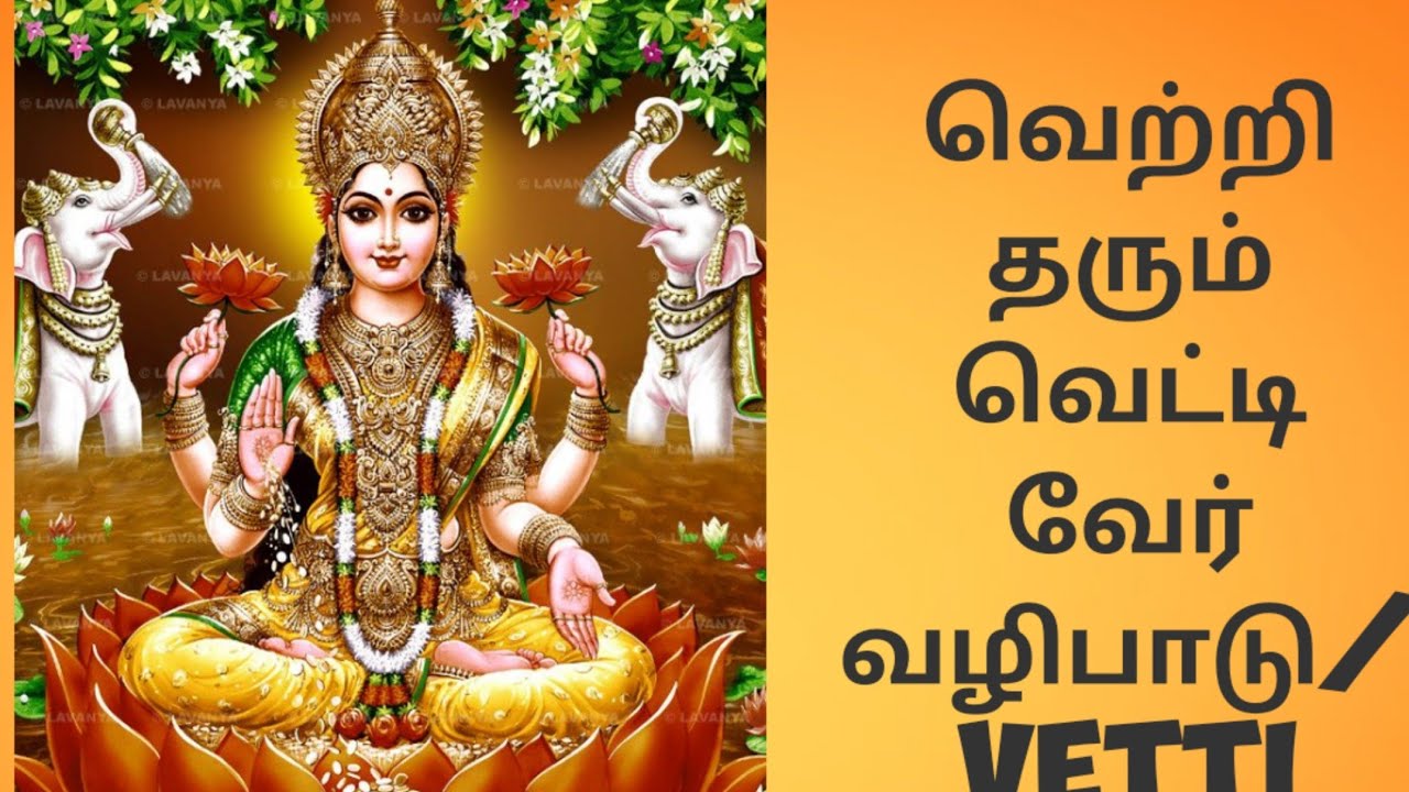 செல்வத்தை வாரி வழங்கும் வெட்டி வேர் வழிபாடு/vetti ver benefits in tamil ...