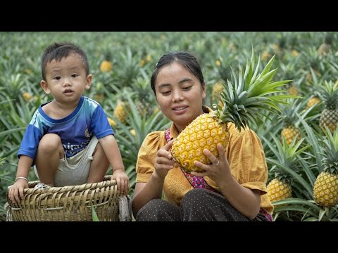 Faith's smile shone brightly as she and her mother picked ripe, golden pineapples.