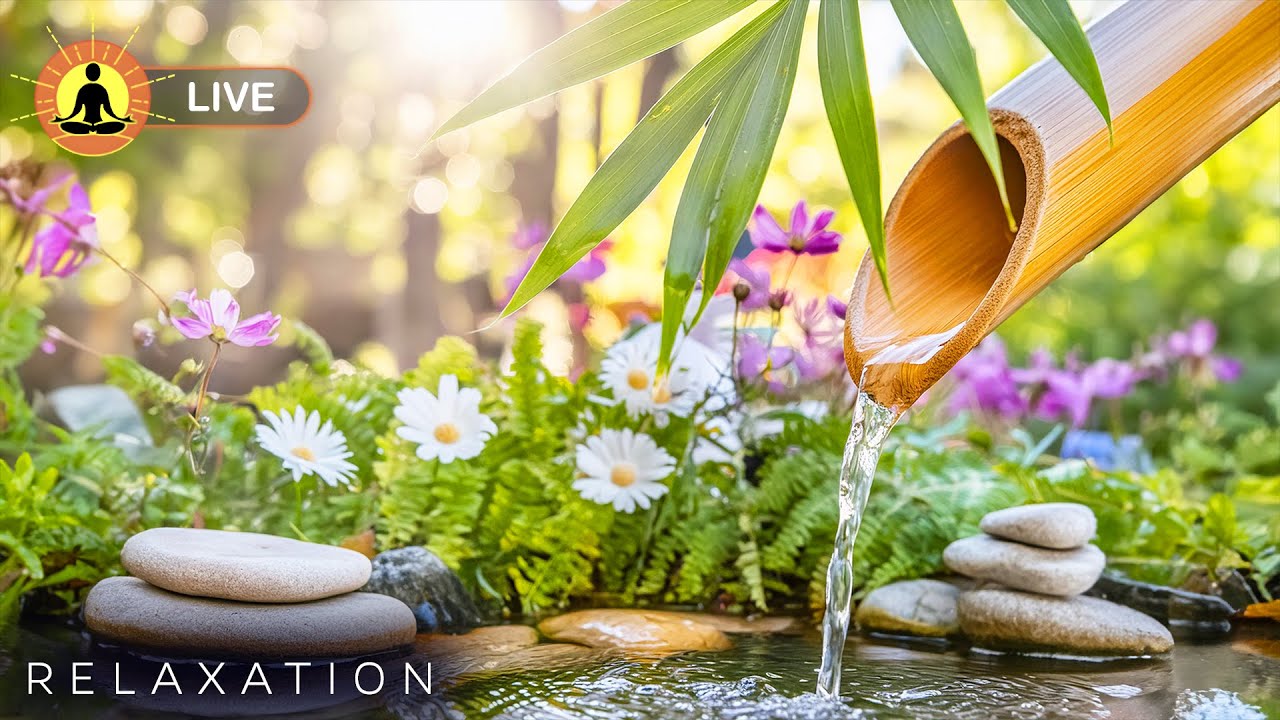 🔴 Relaxing Spa Music 24/7, Stress Relief Music, Relaxation Music, Sleep ...