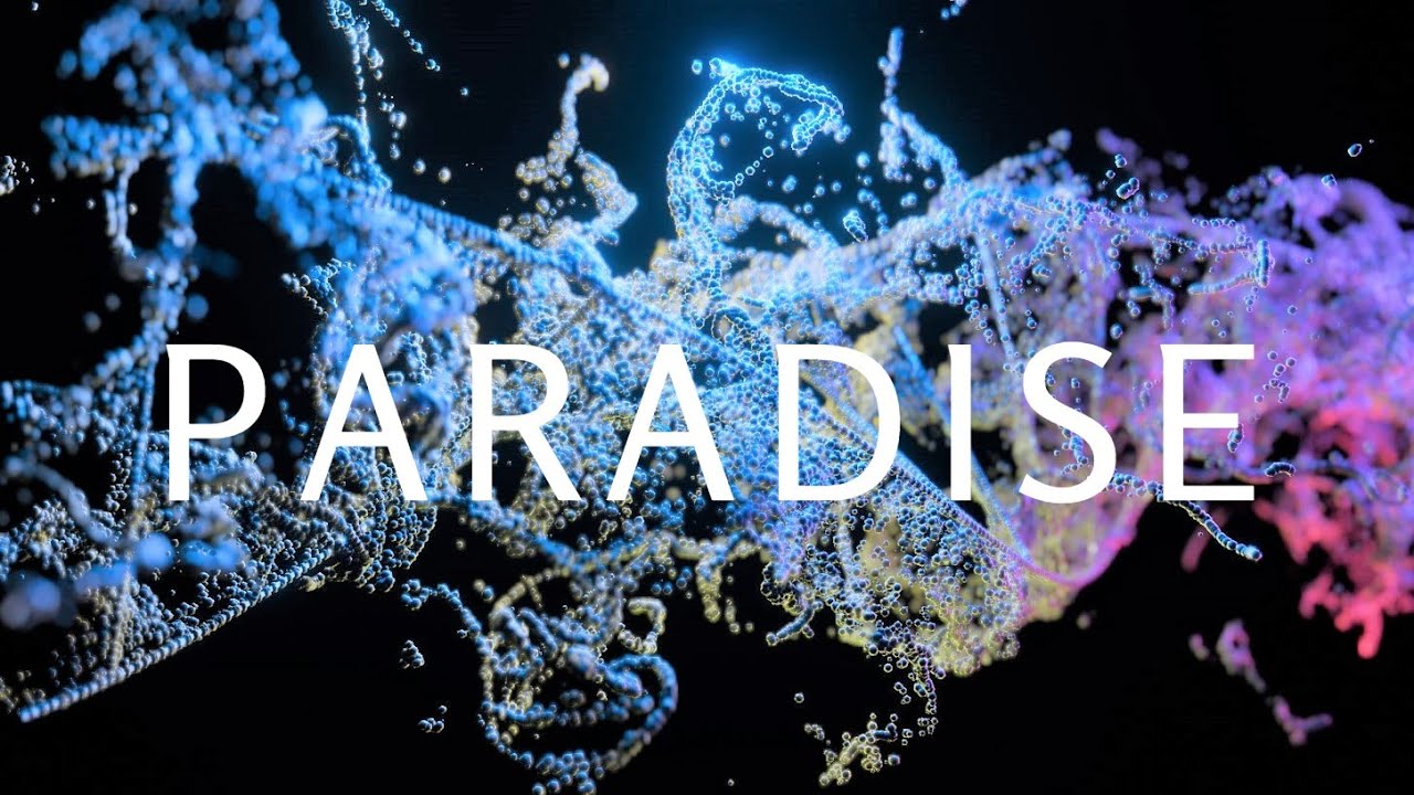 DIONESIUM & TZEJAX - Paradise (Feat. Aashmeit Kaurr) [Official Lyric ...