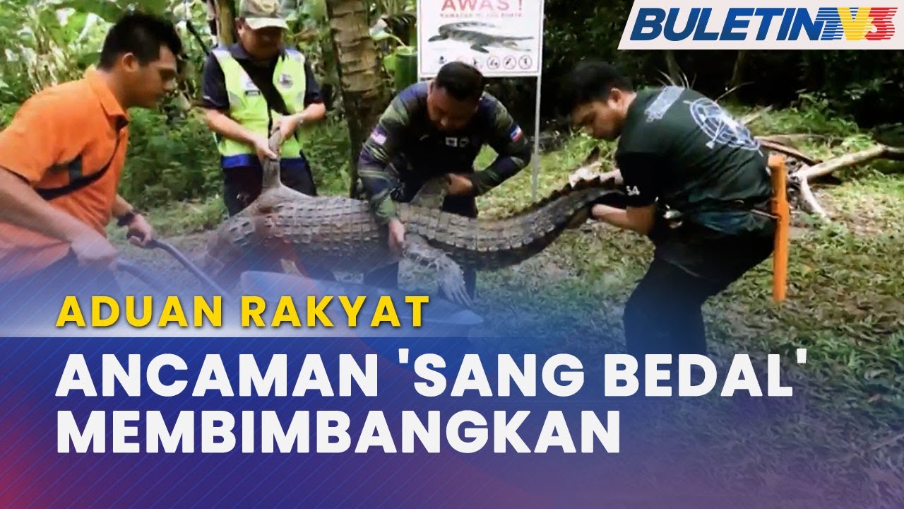 ADUAN RAKYAT | Ancaman ’Sang Bedal’ Meningkat Di Sabah - YouTube
