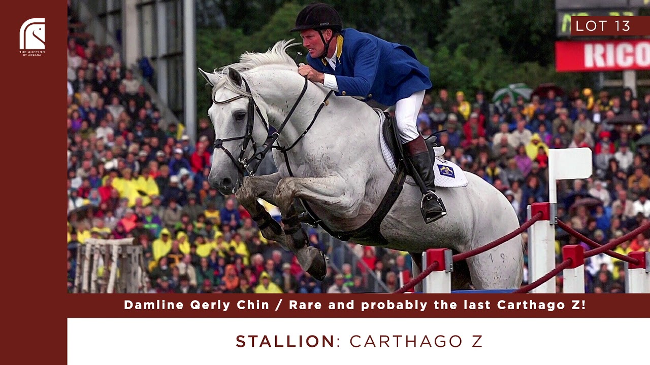 ACT III : LOT 13 : CARTHAGO Z x AZUELA DE MUZE - YouTube