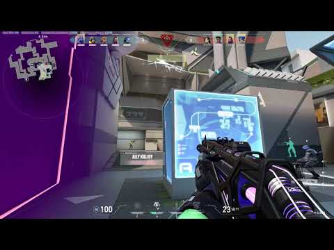 black & purple RGX vandal 😻 - YouTube