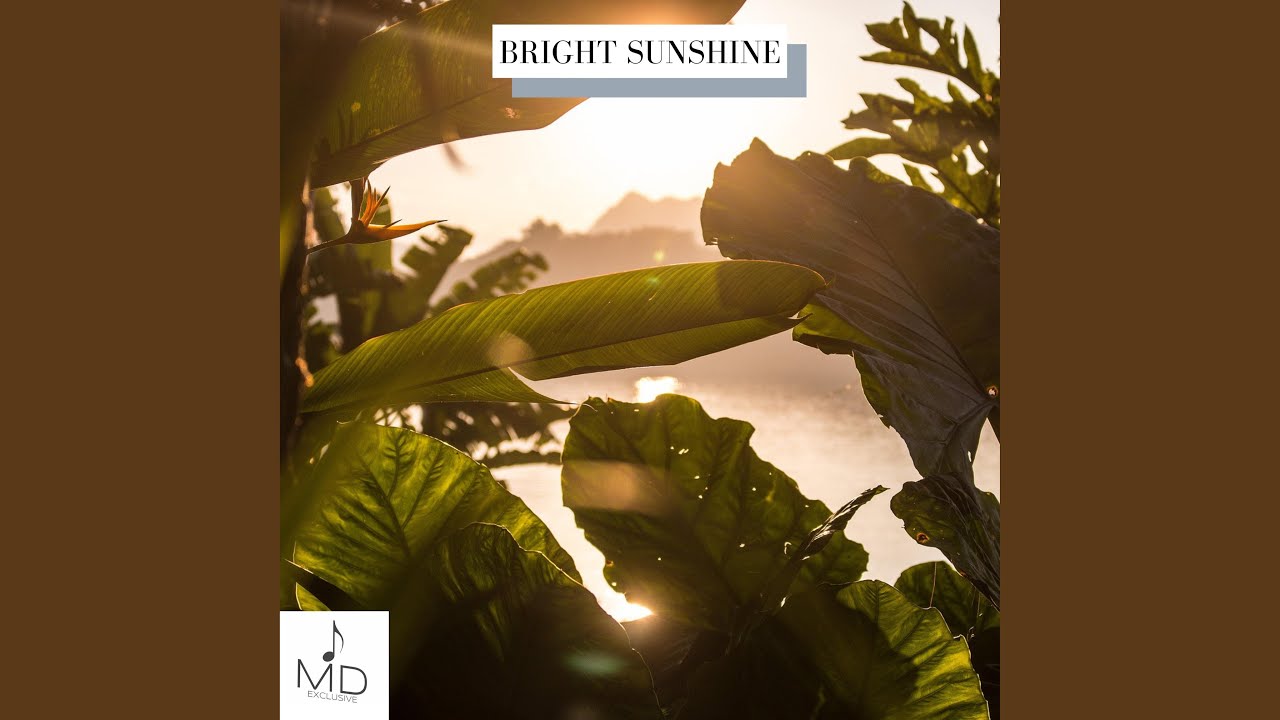 Bright Sunshine - YouTube