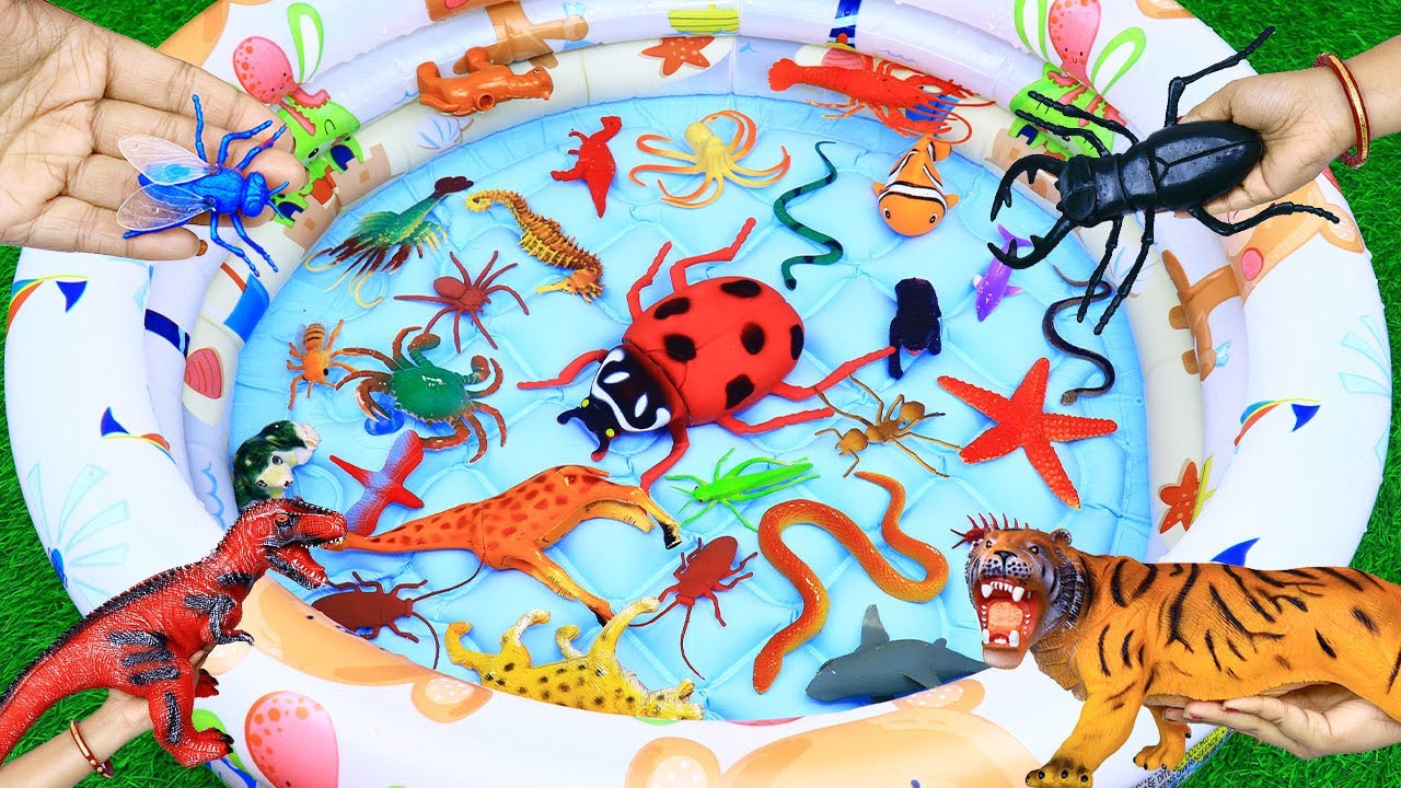 All types of animal sea animal wild animal insect farm animal playing ...