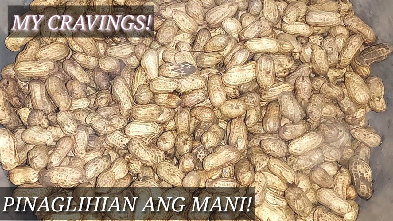 GROWING PEANUTS|MY CRAVINGS|AKO LANG NAKAUBOS♡Simply Lorie - YouTube