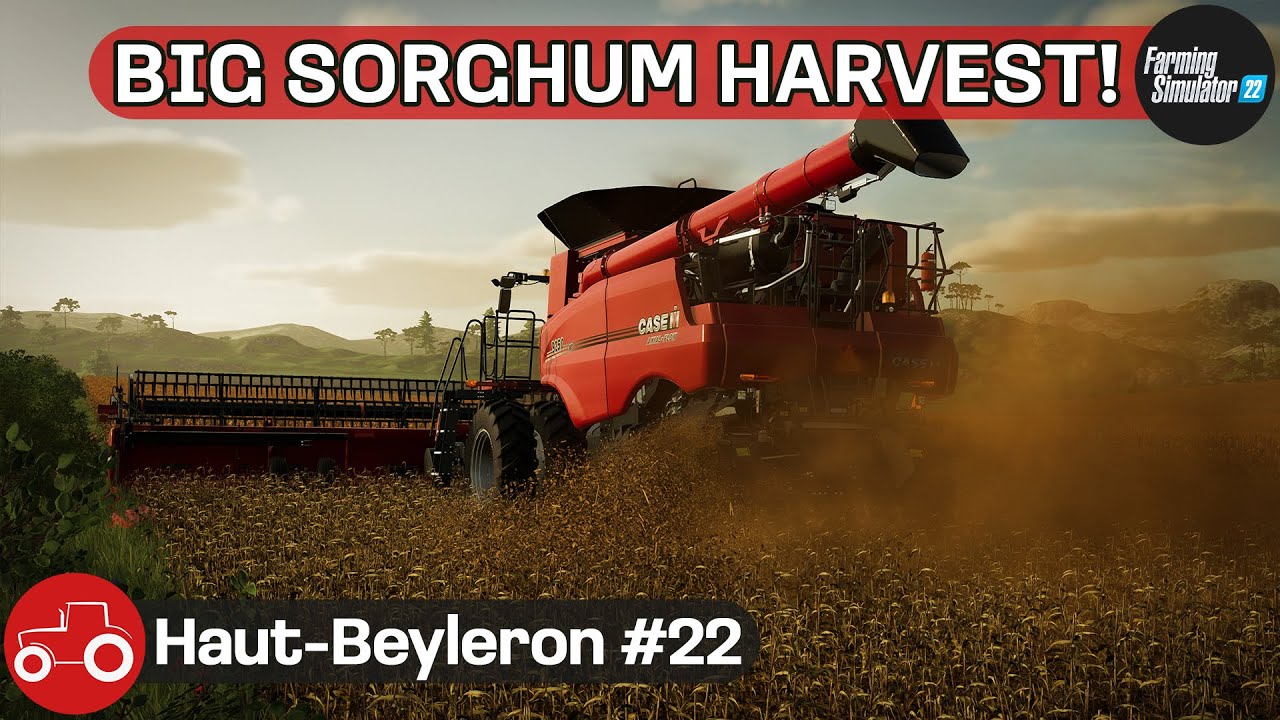 Big Sorghum harvest, Mulching, Sowing Canola, Rolling & Spraying - Haut ...