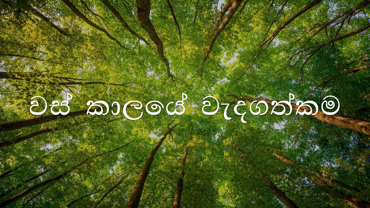 වස් කාලය | was kalaya - YouTube