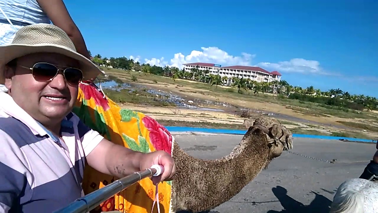 Paseo en camello en cuba - YouTube