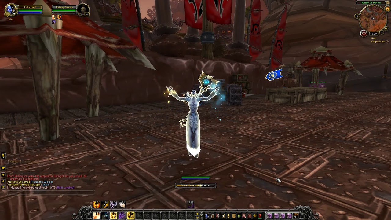 WOW Animations - Allied Races - Nightborne Discipline Priest (female ...