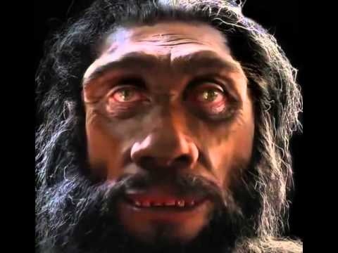 6 min illik təkamül (VIDEO)