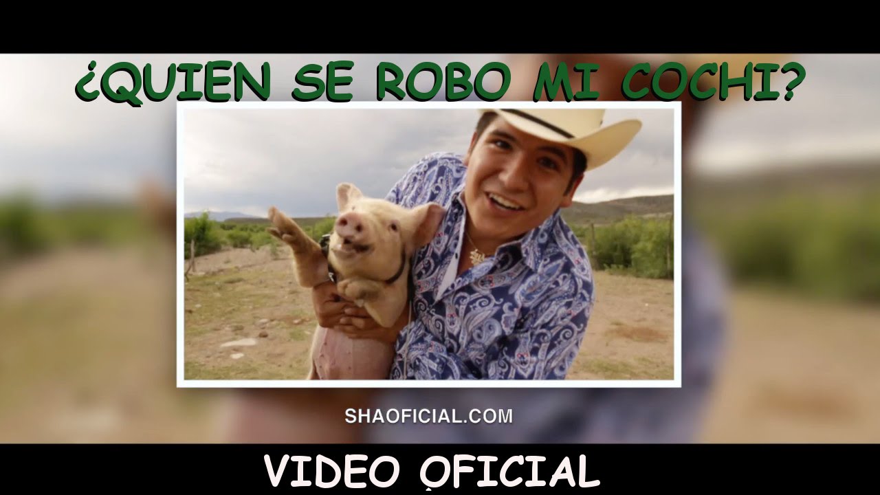 ¿Quien se robo mi cochi? - Octavio Molina "El Sha" (Video oficial ...