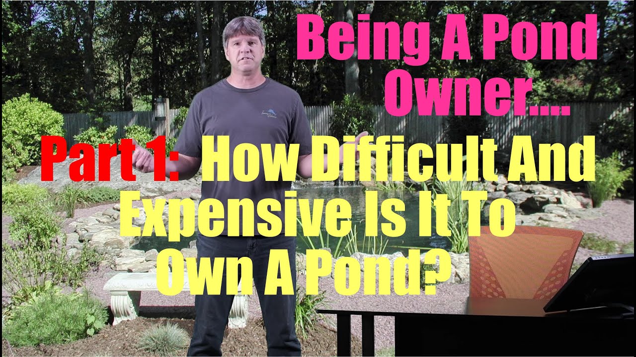 Being A Pond Owner... PART 1: How Difficult And Expensive Is It To Own ...