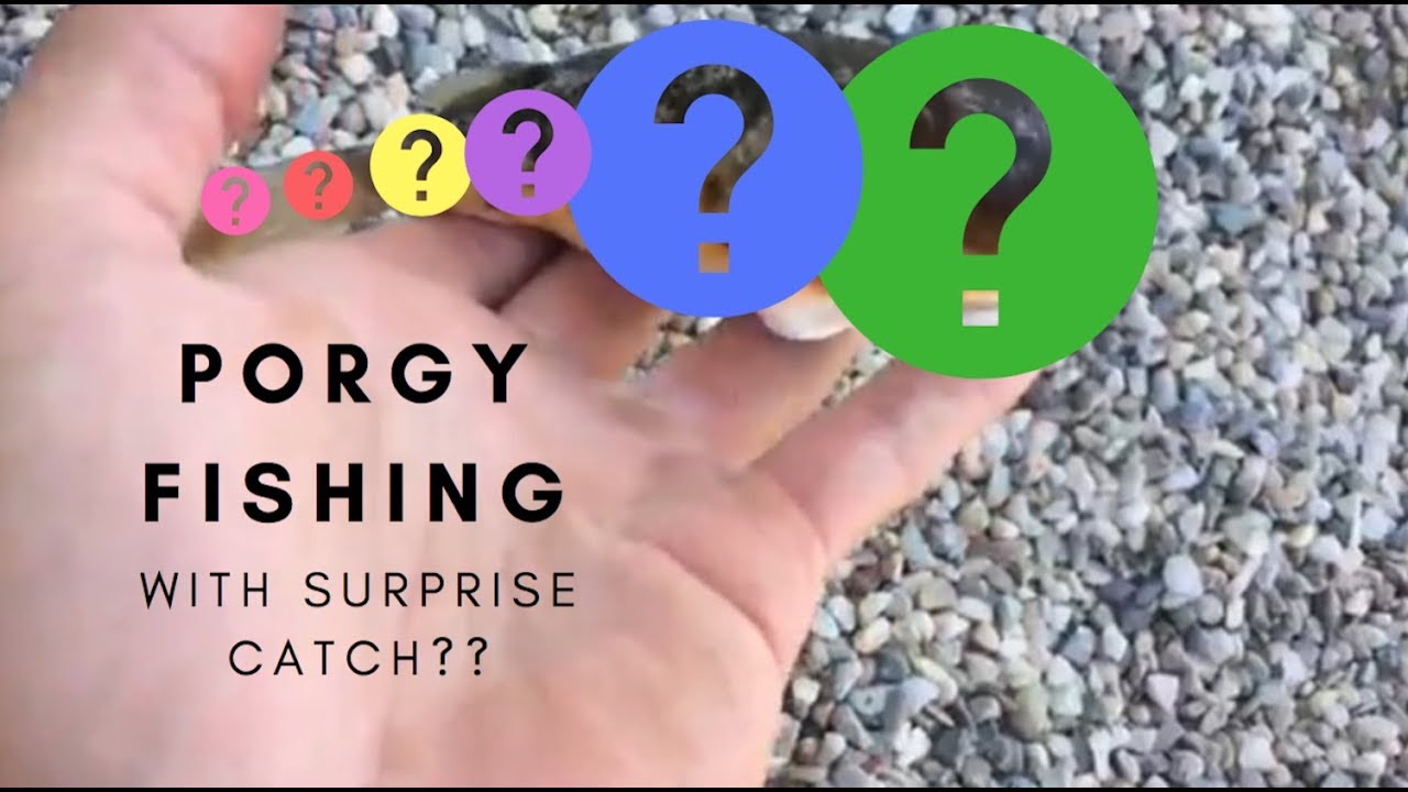 Porgy Fishing Long Island with Surprise Catch! (Catch and Cook) - YouTube