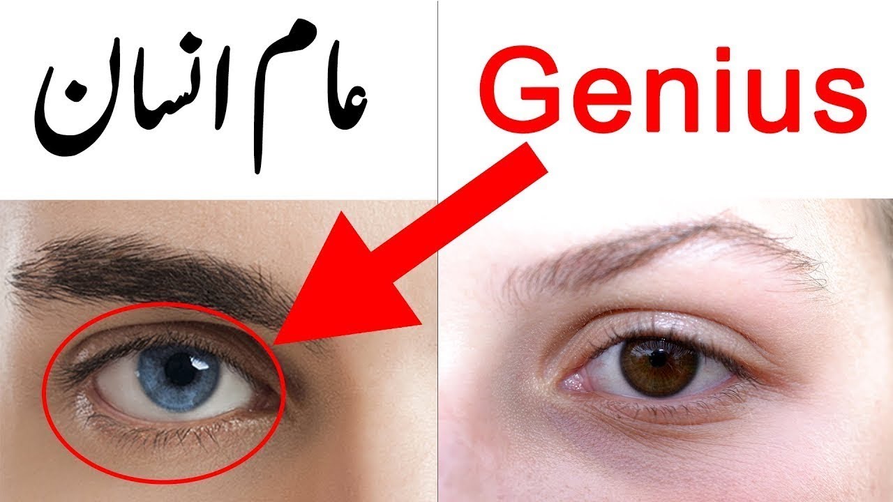 Are You A Genius? Check Now! | Habits Of Genius People (Scientific ...