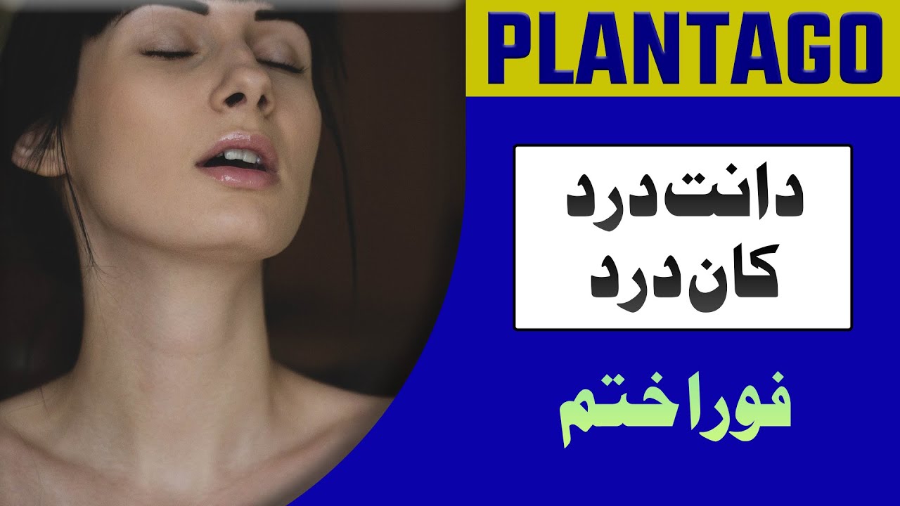 Plantago major | plantago Q | Tooth pain | Ear pain - YouTube