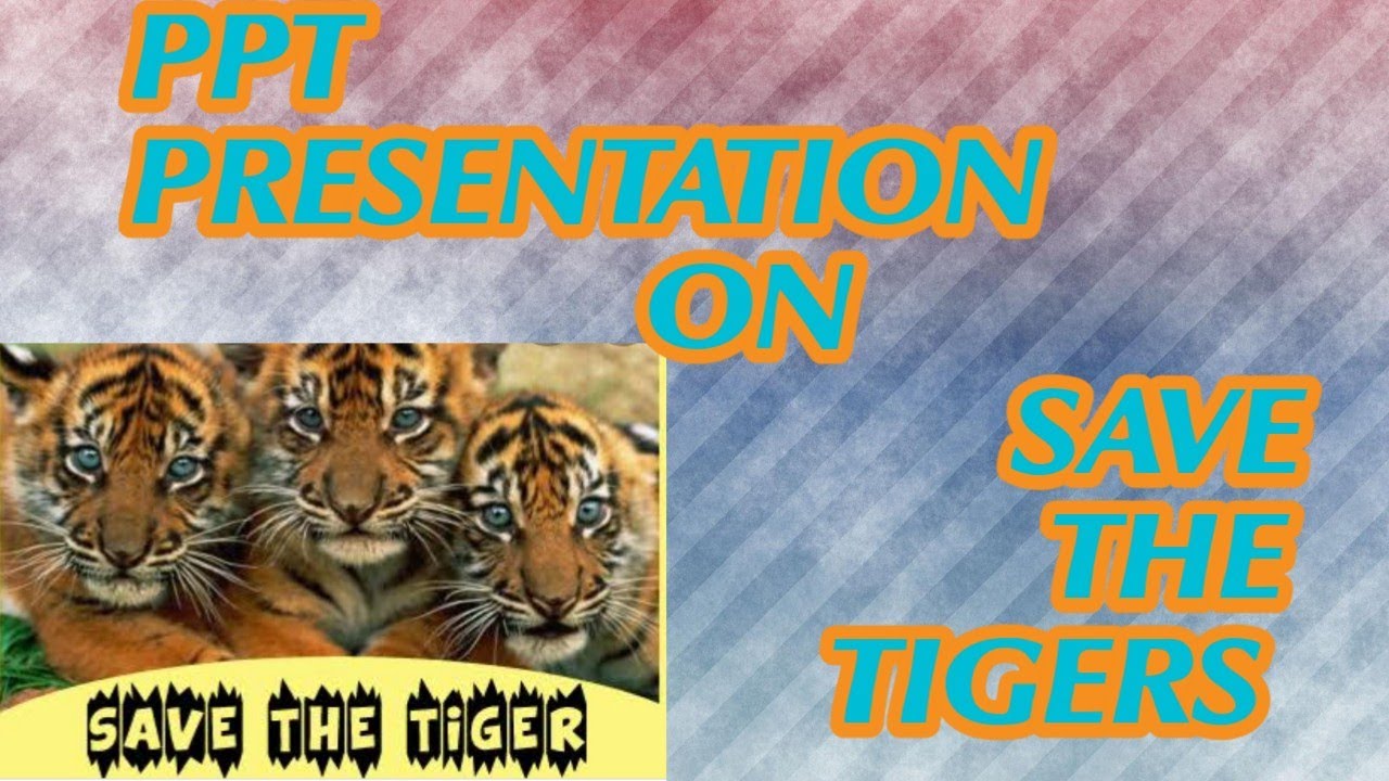PPT PRESENTATION ON SAVING THE TIGERS - YouTube
