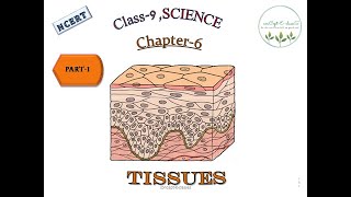 Class 9- SCIENCE: Chapter-6 TISSUES (Part-1) | Doovi