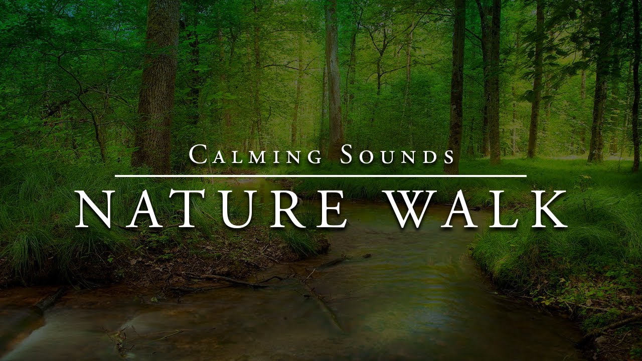 Calming Sounds - Nature Walk - YouTube