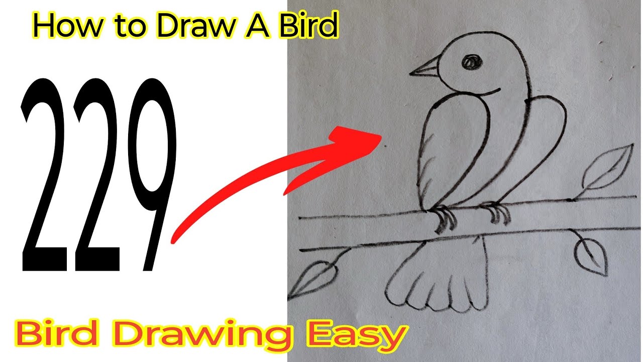 How to Draw A Bird // Bird Drawing Easy //Chidiya ka chitra - YouTube