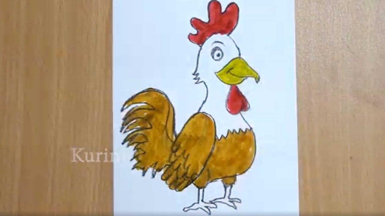How to draw a cock easy step by step for beginners | Easy Rooster ...