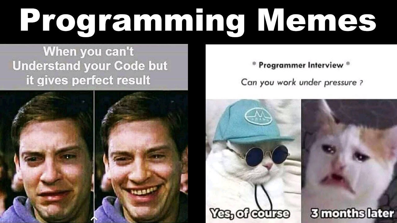 Best Programming Memes | Programmer Memes - YouTube