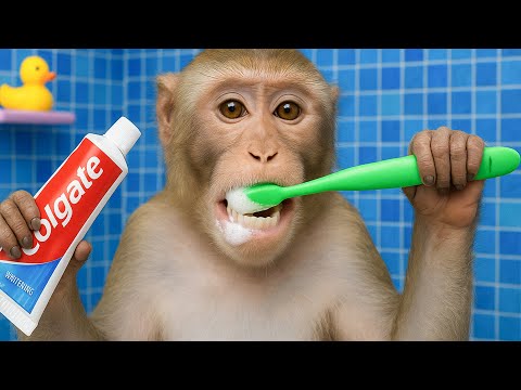 Monkey Baby Bu Bu brush teeth and bathing in the bathroom and play with puppies in the garden