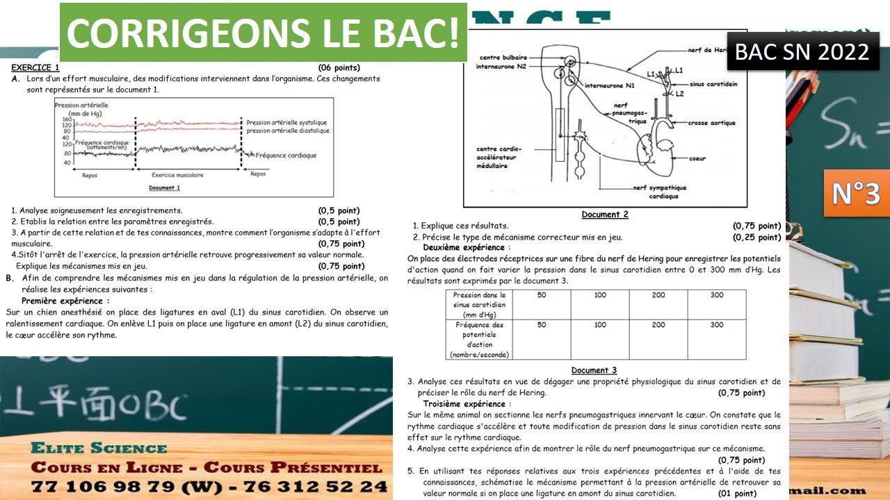 CORRIGEONS LE BAC N°3 - YouTube