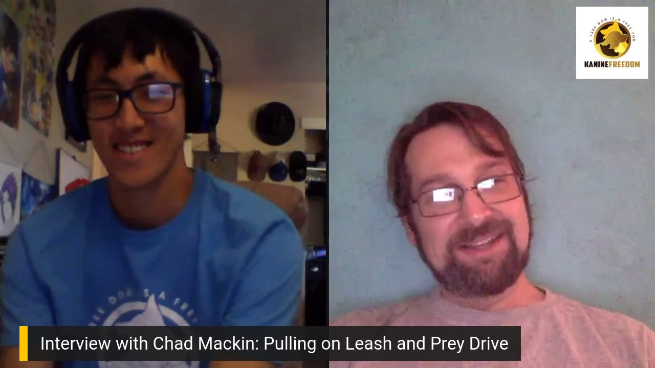Interview with Chad Mackin Pulling on Leash and Prey Drive - YouTube