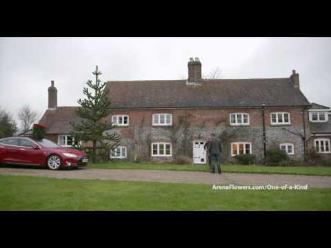The Perfect Valentine's Gift - Summoned! 100 Giant Red Roses, Cristal, iPad & Tesla Model S P85D