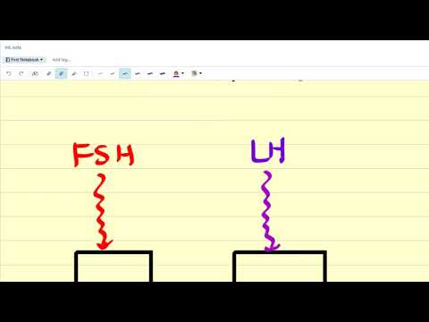 TWO CELL TWO HORMONE THEORY - YouTube