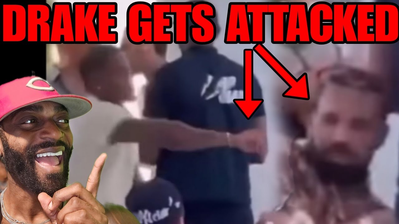 DRAKE GETS ATTACKED & ALMOST PUNCHED IN THE FACE BECAUSE OF BEES? - YouTube