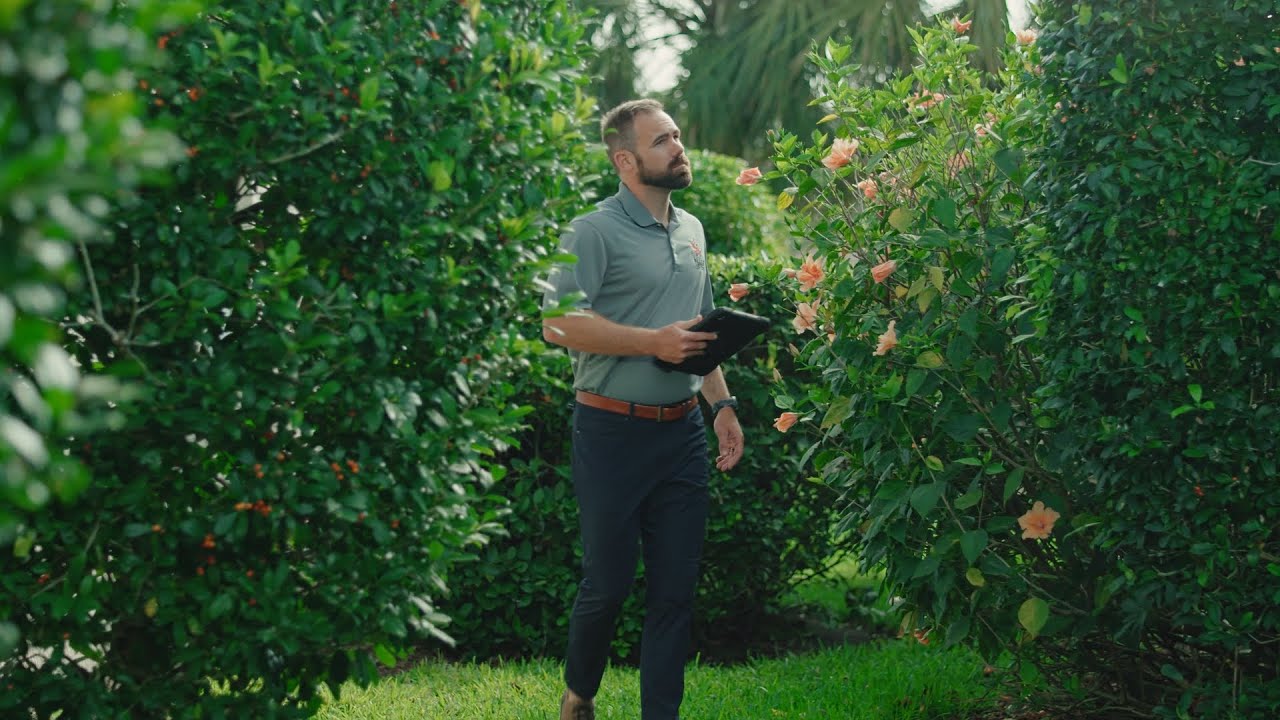 All U Need Pest Control | Our Company - YouTube
