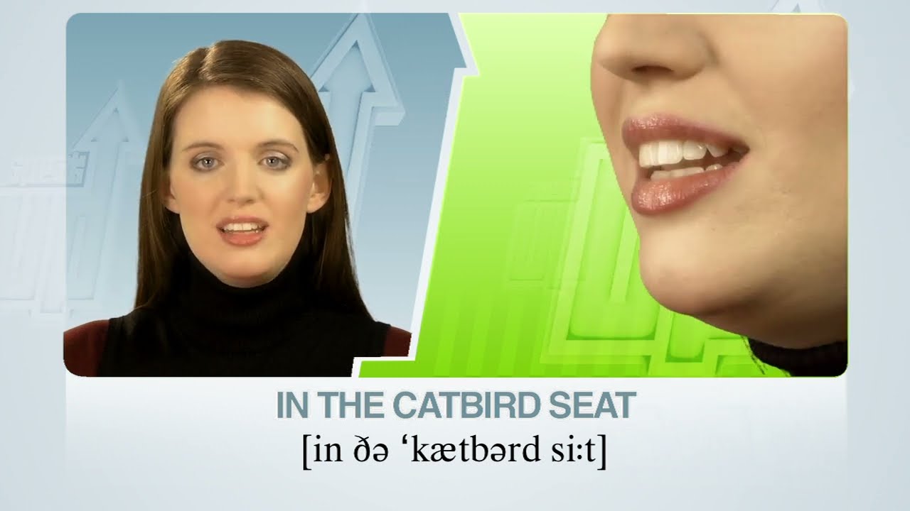 The Catbird Seat Story Meaning | Cabinets Matttroy