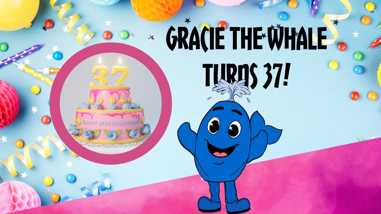 Happy Birthday, Gracie the Whale! (GRACIE TURNS 37) - YouTube
