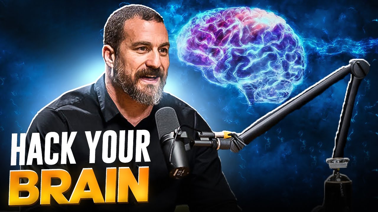 Andrew Huberman - Neuroscientist's Shows How to MANIPULATE Your Brain ...