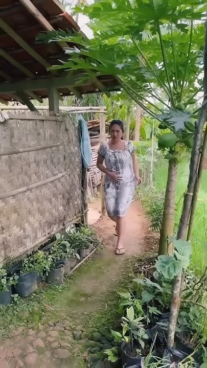 #timelapse , start to finish alone buildlog cabin 😜(wooden house), how ...