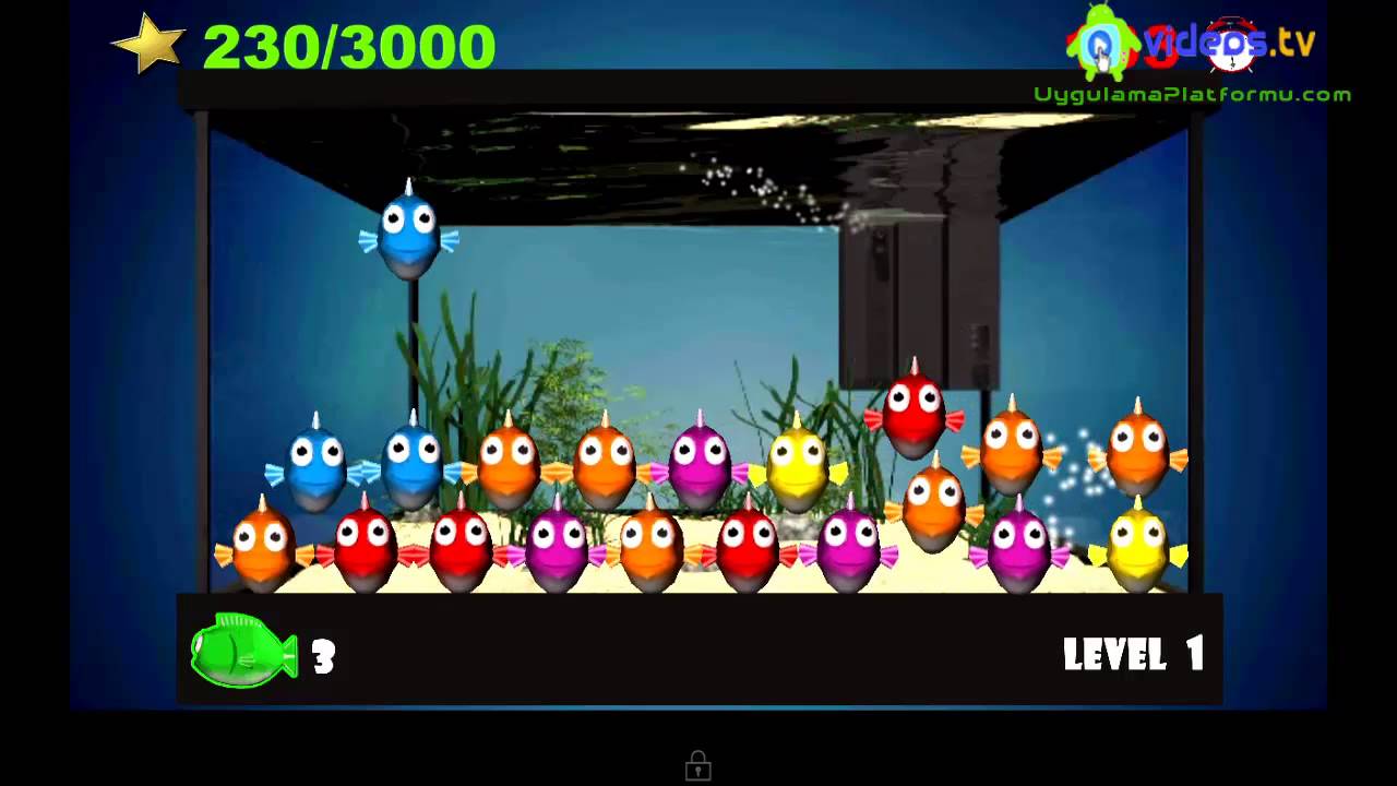 Android Tap the Fish - Pocket Aquarium - YouTube