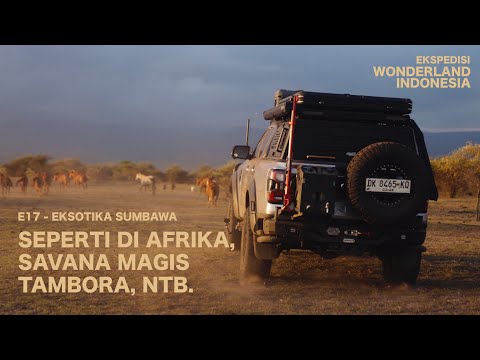 Ekspedisi Wonderland Indonesia (Eps. 17) Savana Emas Tambora